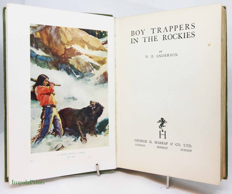 Boy Trappers in the Rockies 1939 Travel Adventure Book Travel Hardback ...