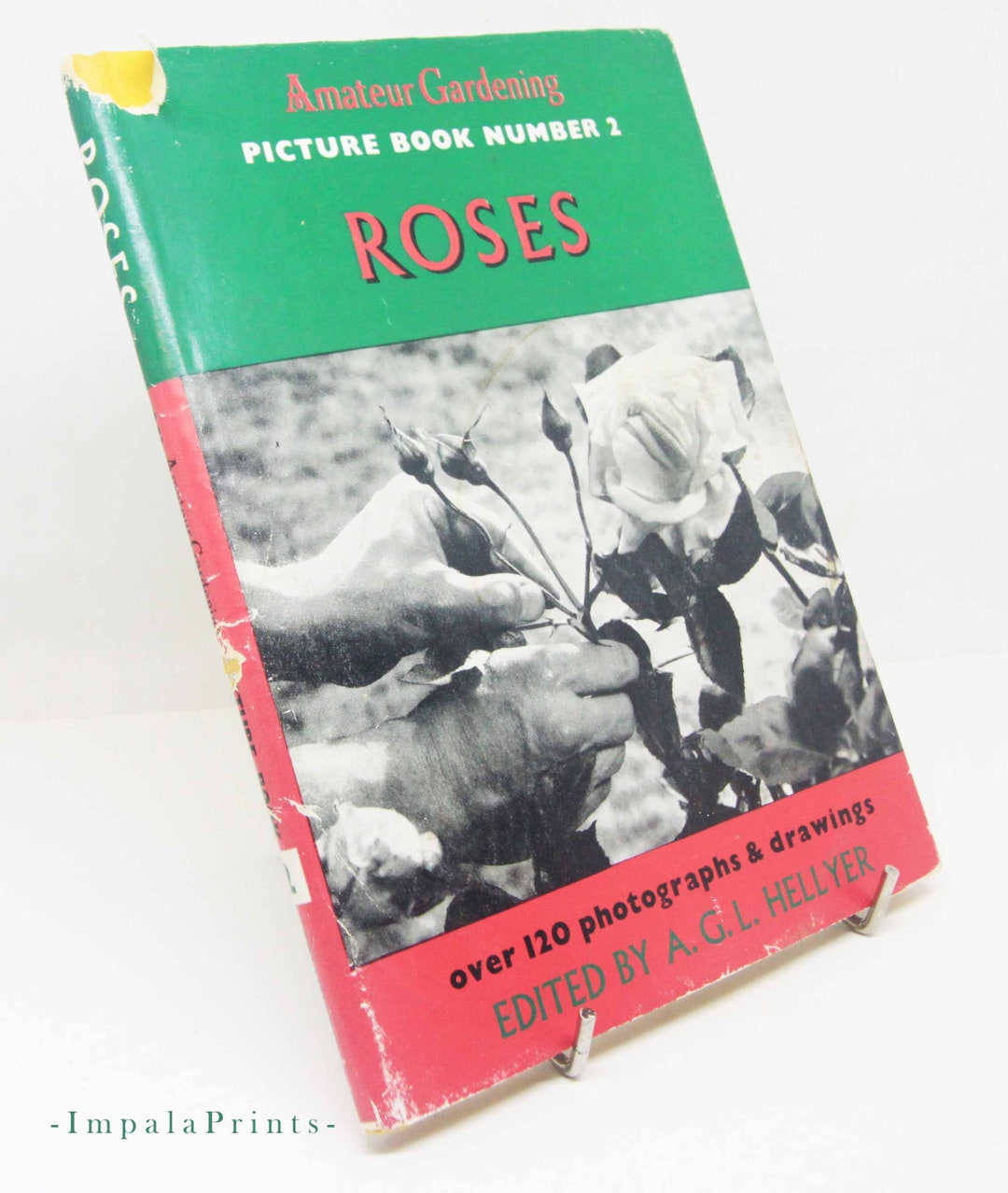 Rose Cultivation Gardening Vintage Rose Growing Antique Gardening Book ...