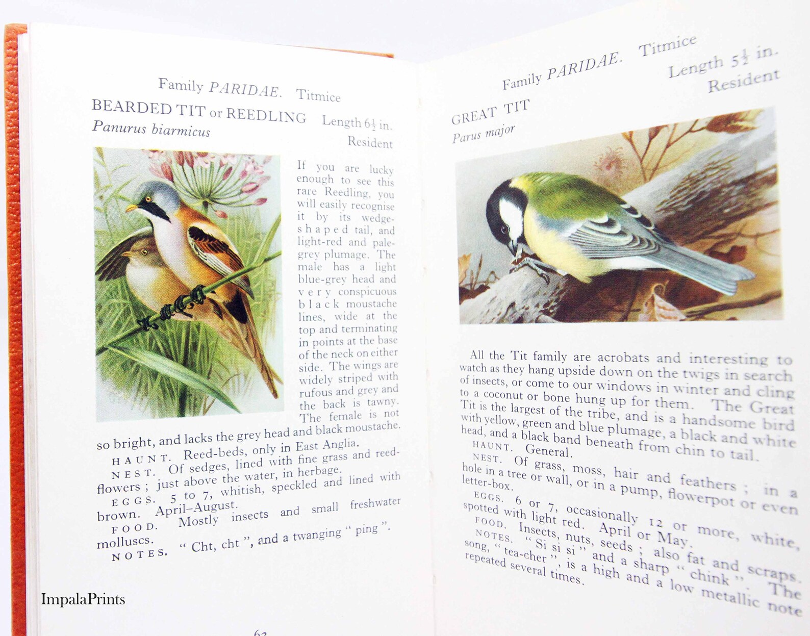 Birdwatching Guide Book Vintage Nature Hardback Ornithology Bird Book ...