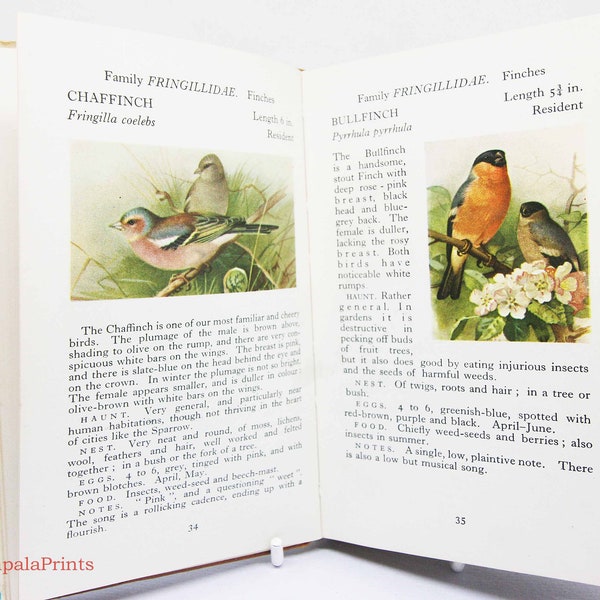 Vintage Bird Book - Etsy
