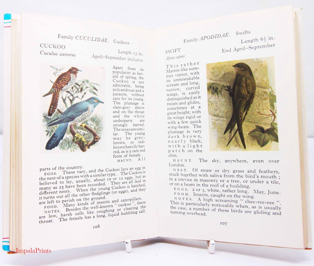 Birdwatching Vintage Book Illustrated Bird Book Nature Hardback ...
