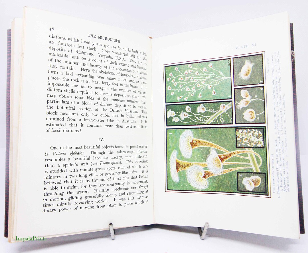 Microscope Science Book 1920s Antique Antique Textbook Guide Old Book ...