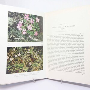 Book of Wild Flowers Illustrated Guide Flower Picture Book Guide ...