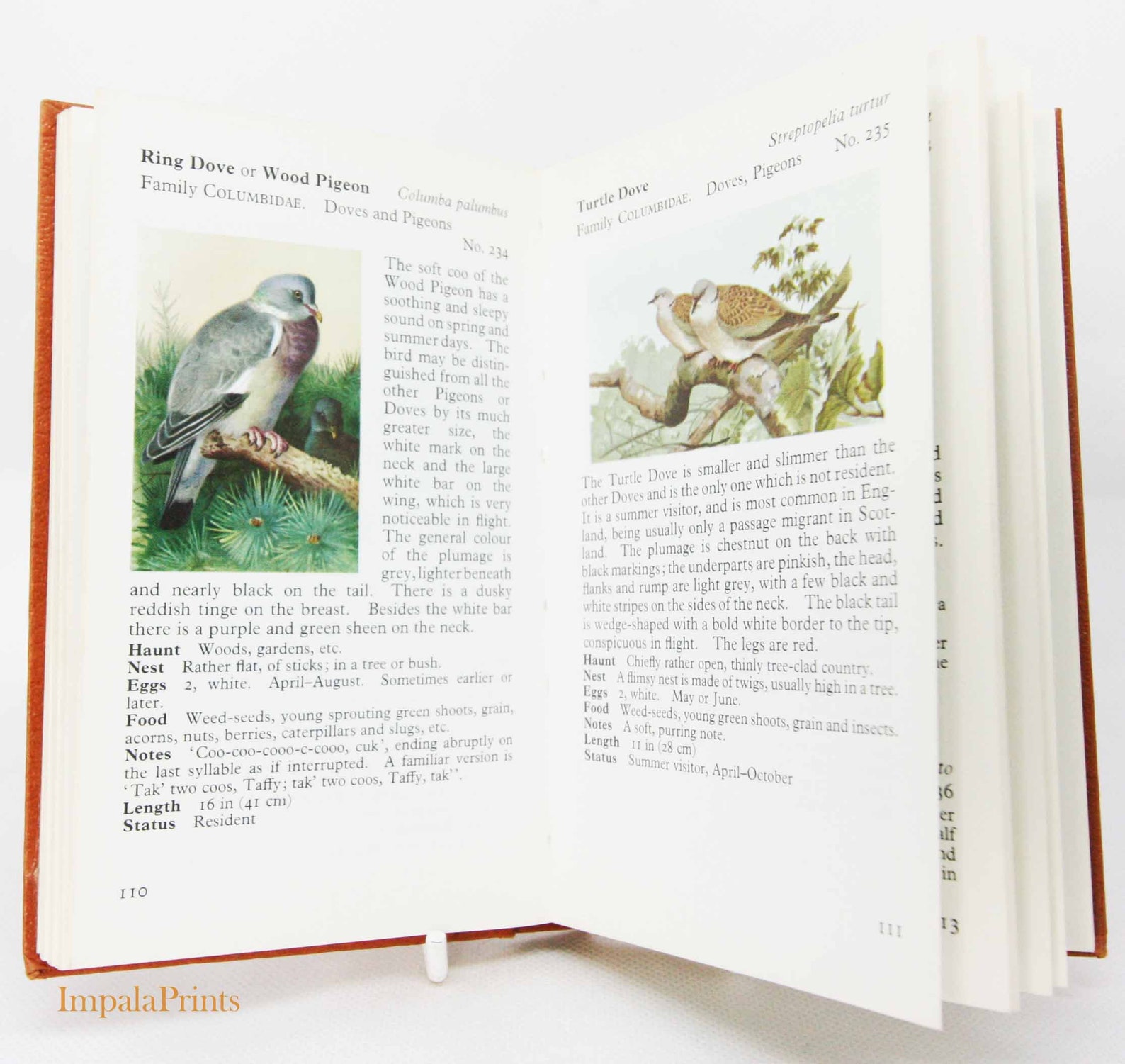 Birdwatching Guide Book Vintage Nature Hardback Ornothology | Etsy UK