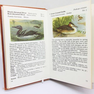 Birdwatching Guide Book Vintage Nature Hardback Ornothology Bird Book ...