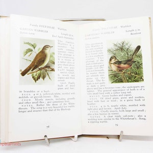 Birdwatching Guide Book Vintage Nature Hardback Ornothology | Etsy UK
