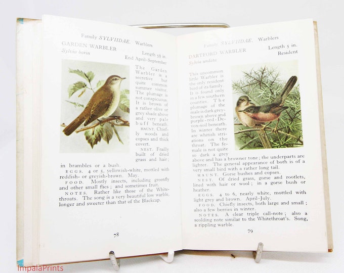 Birdwatching Guide Book Vintage Nature Hardback Ornothology - Etsy UK