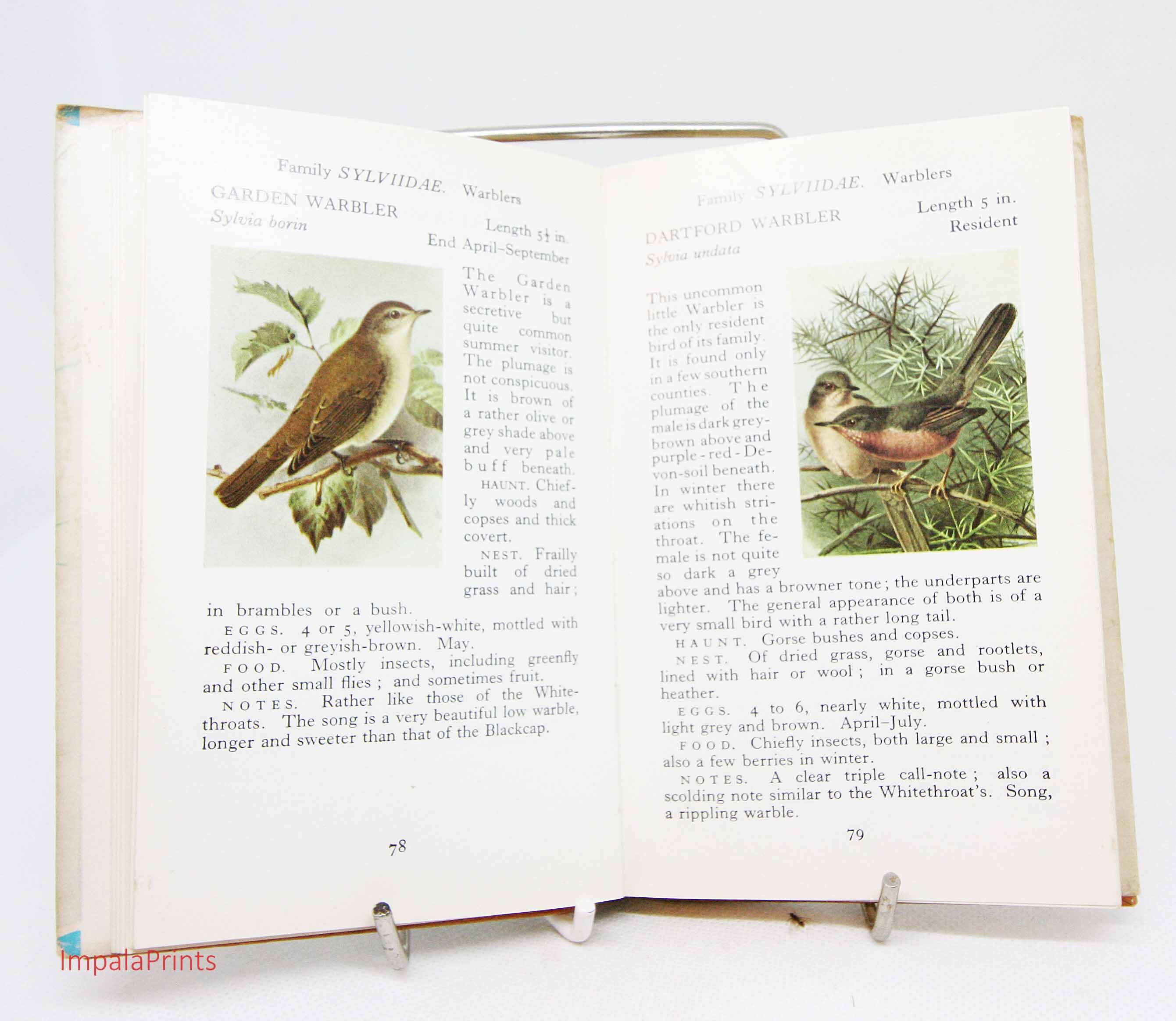 Birdwatching Guide Book Vintage Nature Hardback Ornothology | Etsy UK