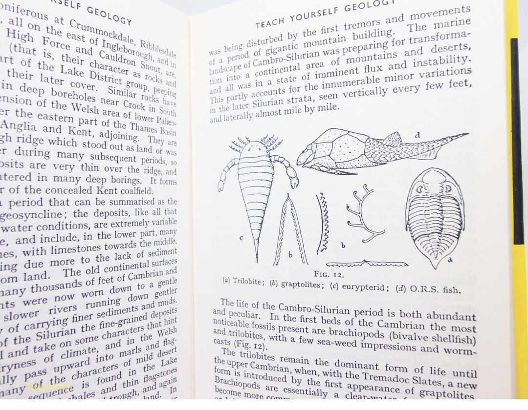 Geology Book Vintage Illustrated 1968 Gfts Geography Science Book ...