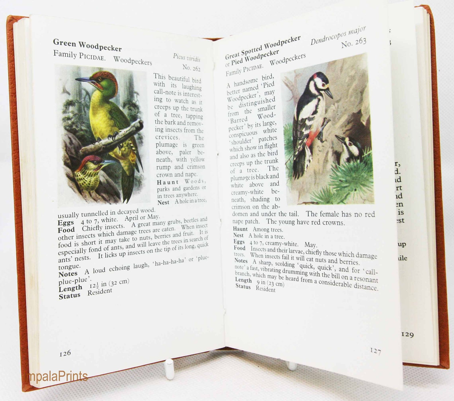 Birdwatching Guide Book Vintage Nature Hardback Ornothology | Etsy UK
