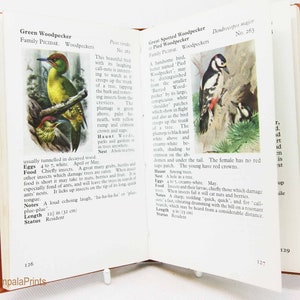 Birdwatching Guide Book Vintage Nature Hardback Ornothology Bird Book ...