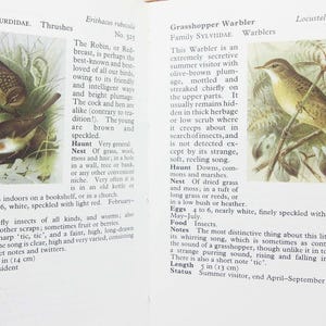 Birdwatching Vintage Book Illustrated Bird Book Nature Hardback ...