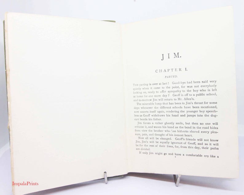 Children's Book Jim by Ismay Thorn Antique Illustrated Rare Fiction ...
