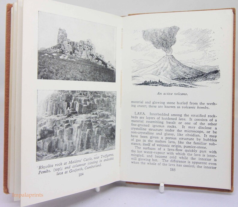 Geology Book Vintage Geography Natural History Dinosaurs - Etsy UK