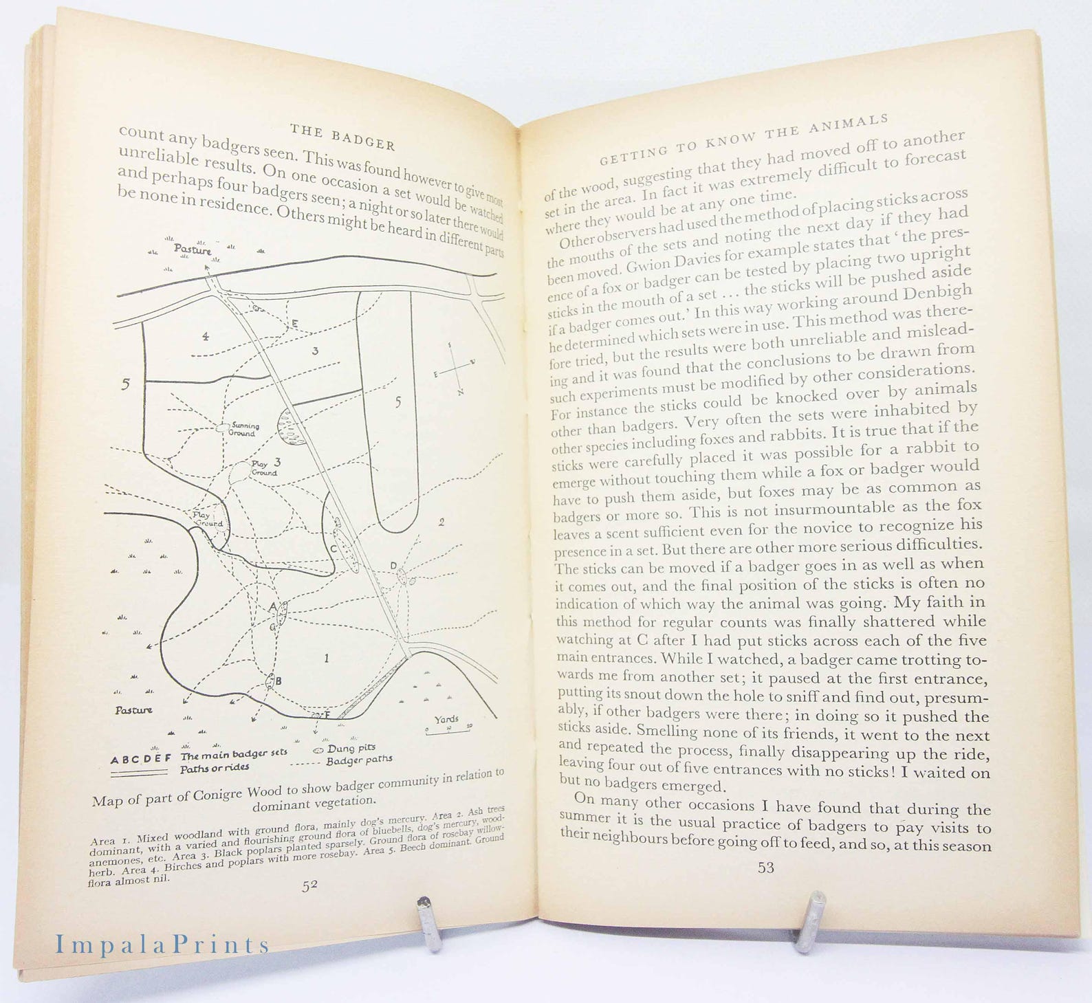 The Badger Nature Book Vintage Guide Factual 1958 Book Paperback Nature ...