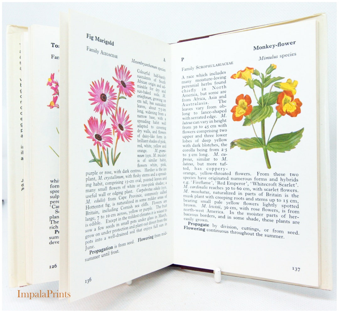 Vintage Garden Flowers Illustrated Plants Flower Picture Book Flowers ...