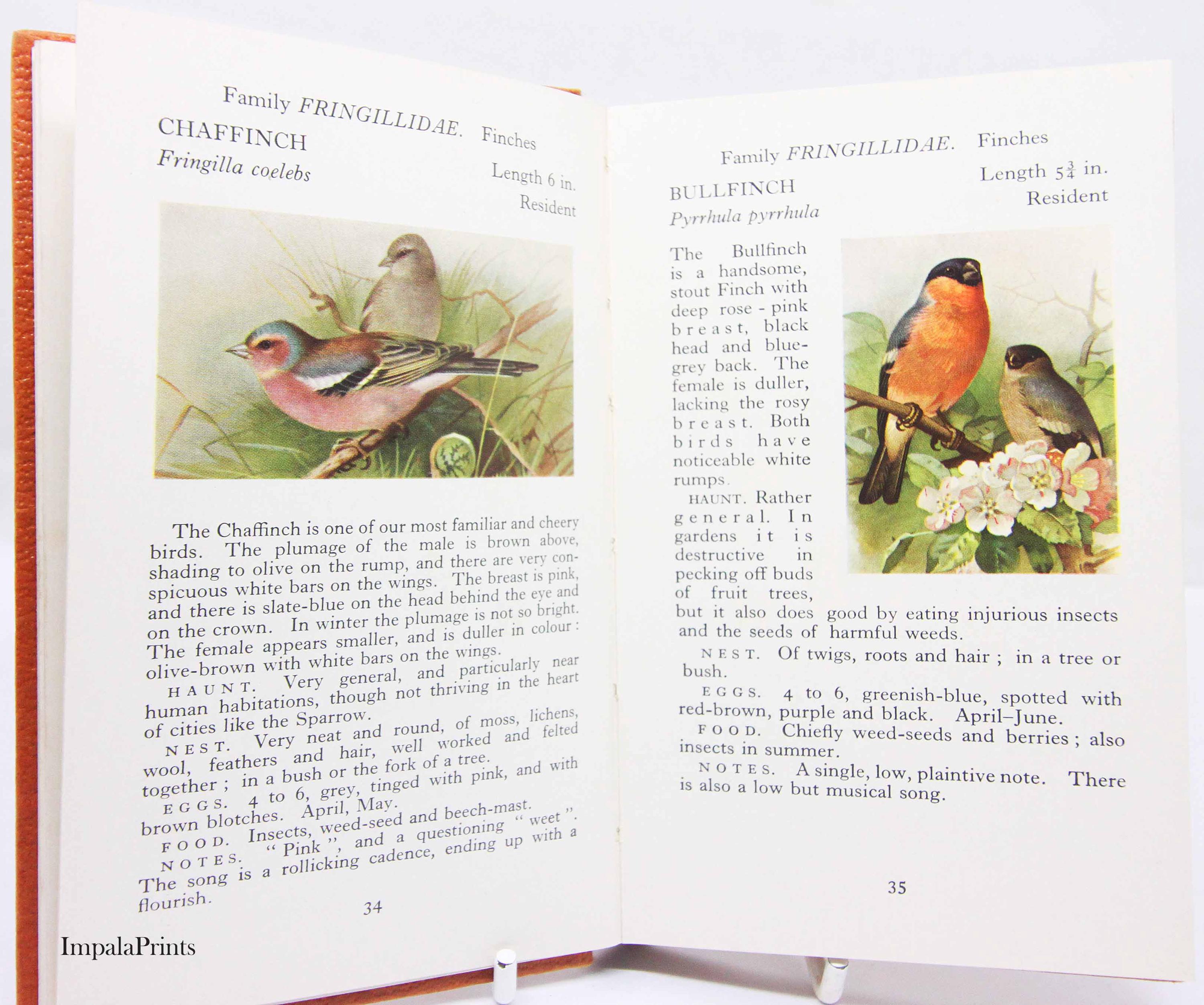 Birdwatching Guide Book Vintage Nature Hardback Ornithology Bird Book ...