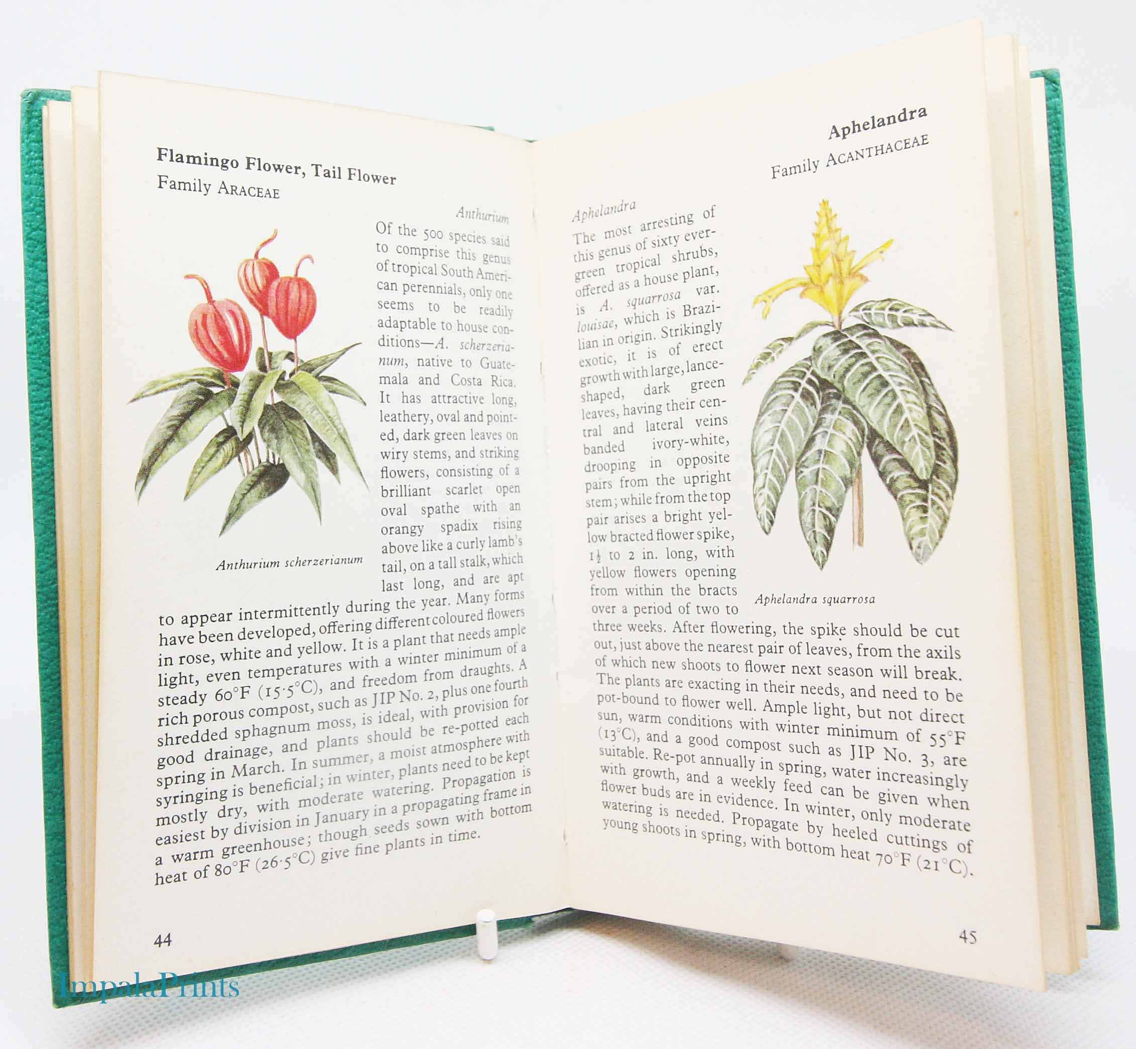 Vintage Flower Book on House Plants Illustrated Picture Book 1972 ...