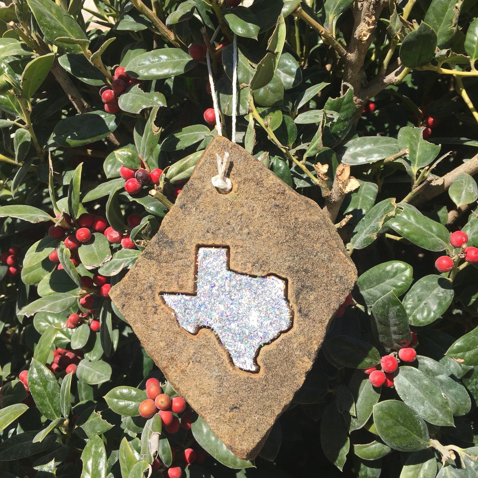Tiny Texas Shape Engraved Flagstone Stone Succulent Garden | Etsy