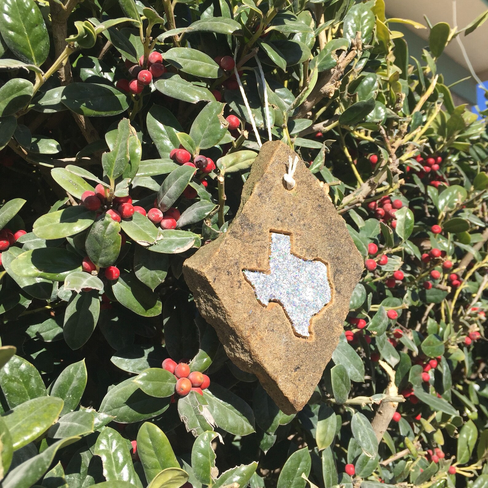 Tiny Texas Shape Engraved Flagstone Stone Succulent Garden | Etsy