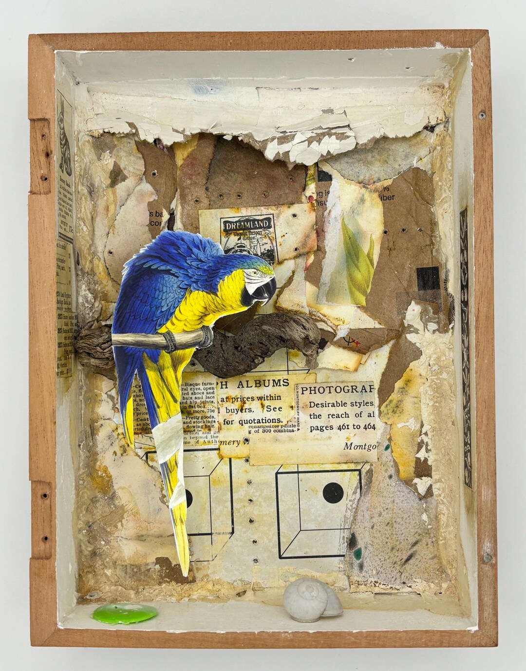 Parrot Habitat Shadow Box Assemblage - Etsy