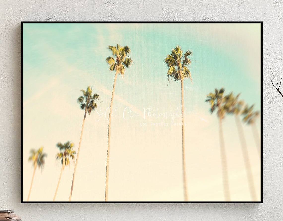 Palm Tree Wall Art Los Angeles Photograph Large Los Angeles | Etsy