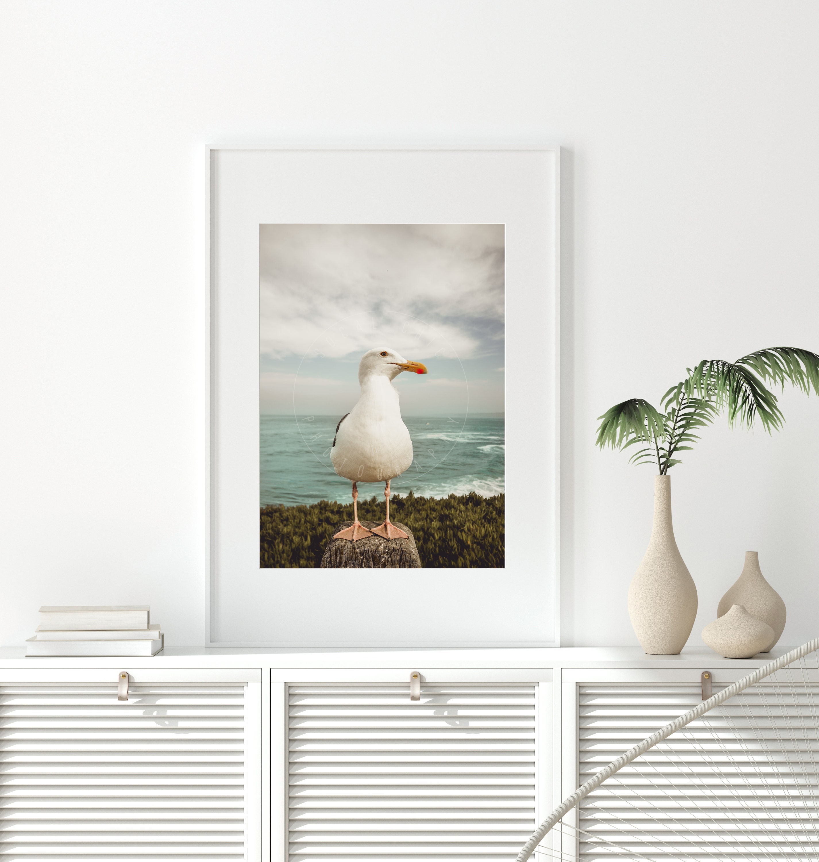 Seagull Print La Jolla San Diego Beach Print La Jolla | Etsy