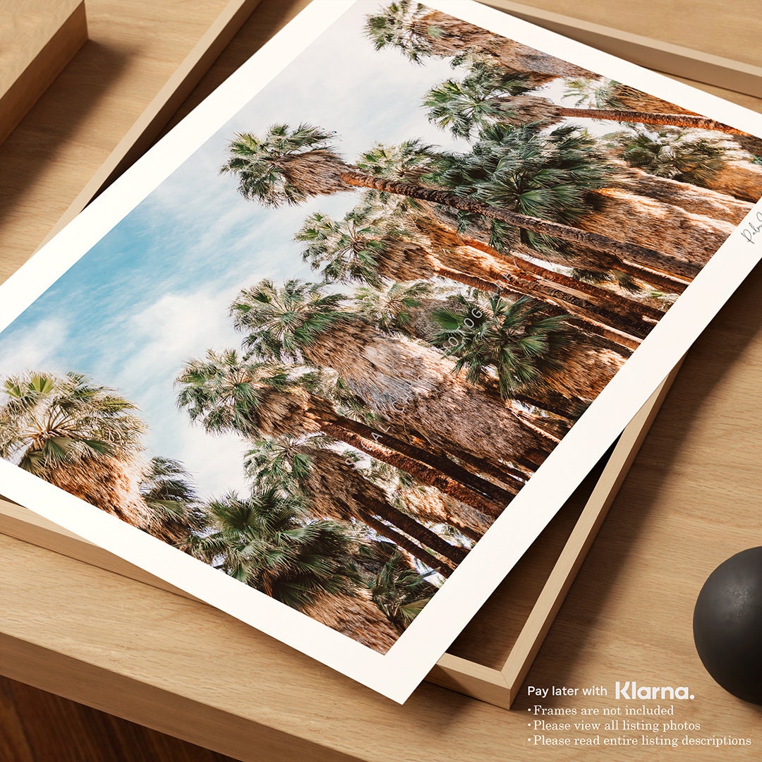 Sunny Palm Springs Print, Desert Oasis Wall Art Decor, Andreas Canyon ...