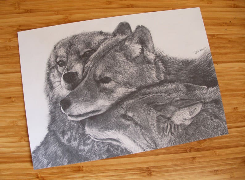 Wolfpack A4/A5 Print of an Original Drawing by Robert J - Etsy