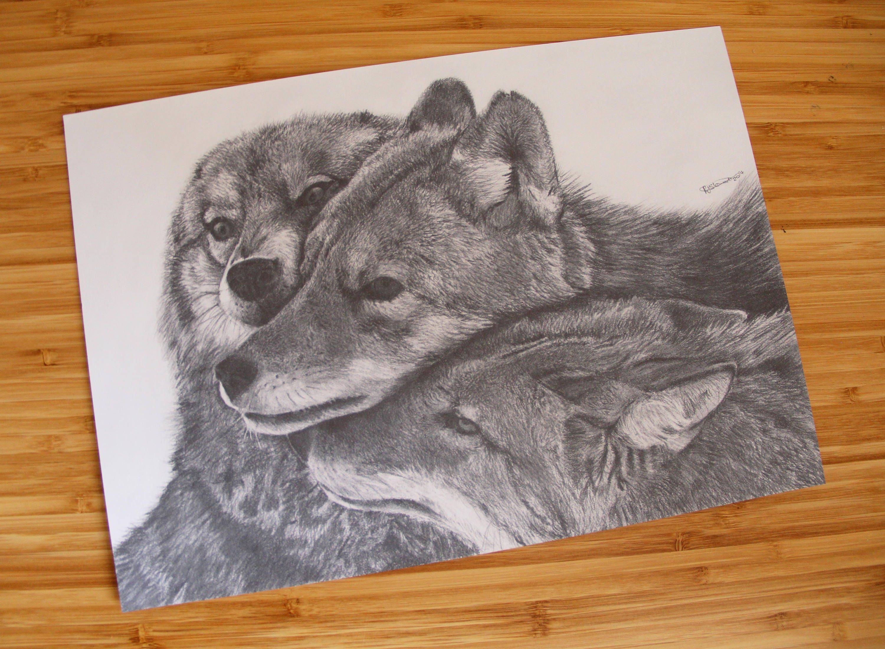 Wolfpack A4/A5 Print of an Original Drawing by Robert J - Etsy