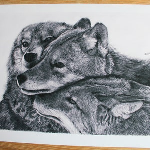 Wolf Pack Limited Edition Signed Giclee Print of an Original - Etsy UK