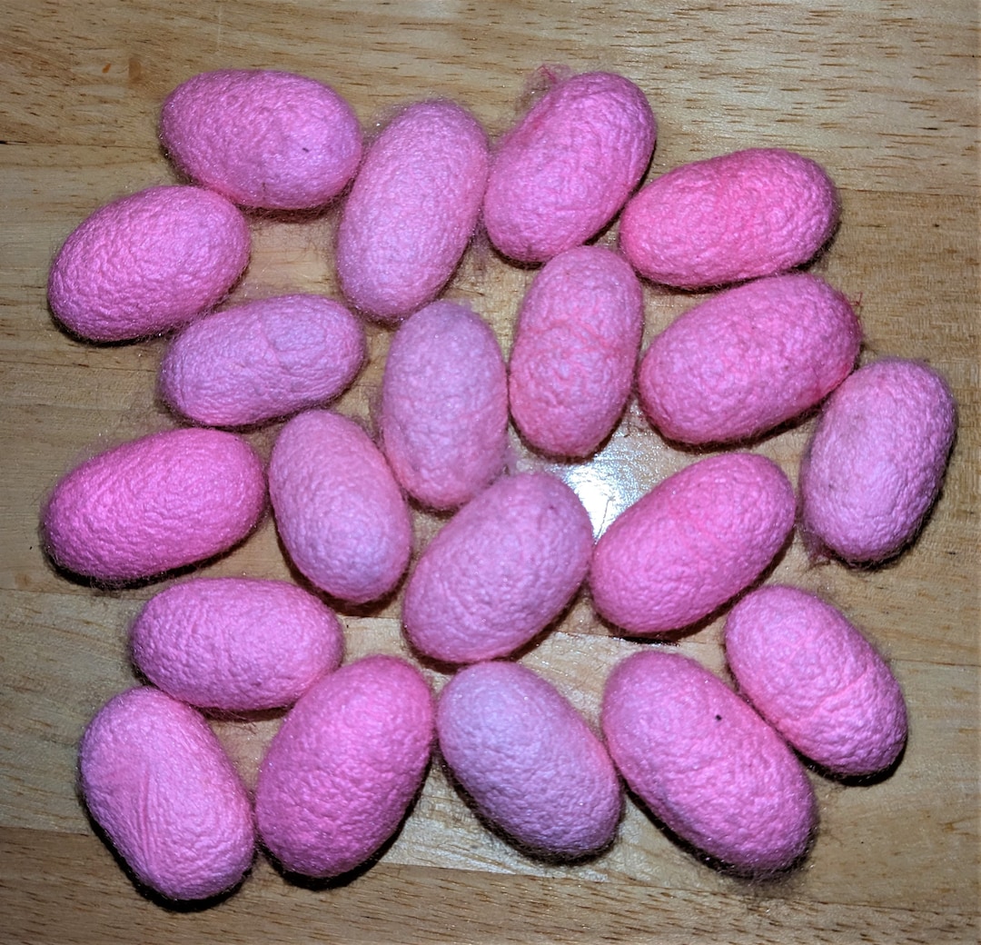 20 Pink Silk Cocoons, Bombyx Mori, Also Called Mulberry Silk - Etsy
