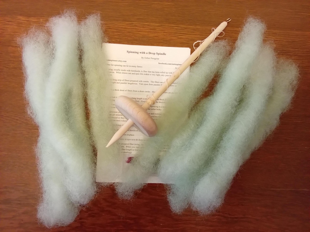 Learn to Spin Drop Spindle Kit With 0.5 Oz Light Green Border Leicester ...
