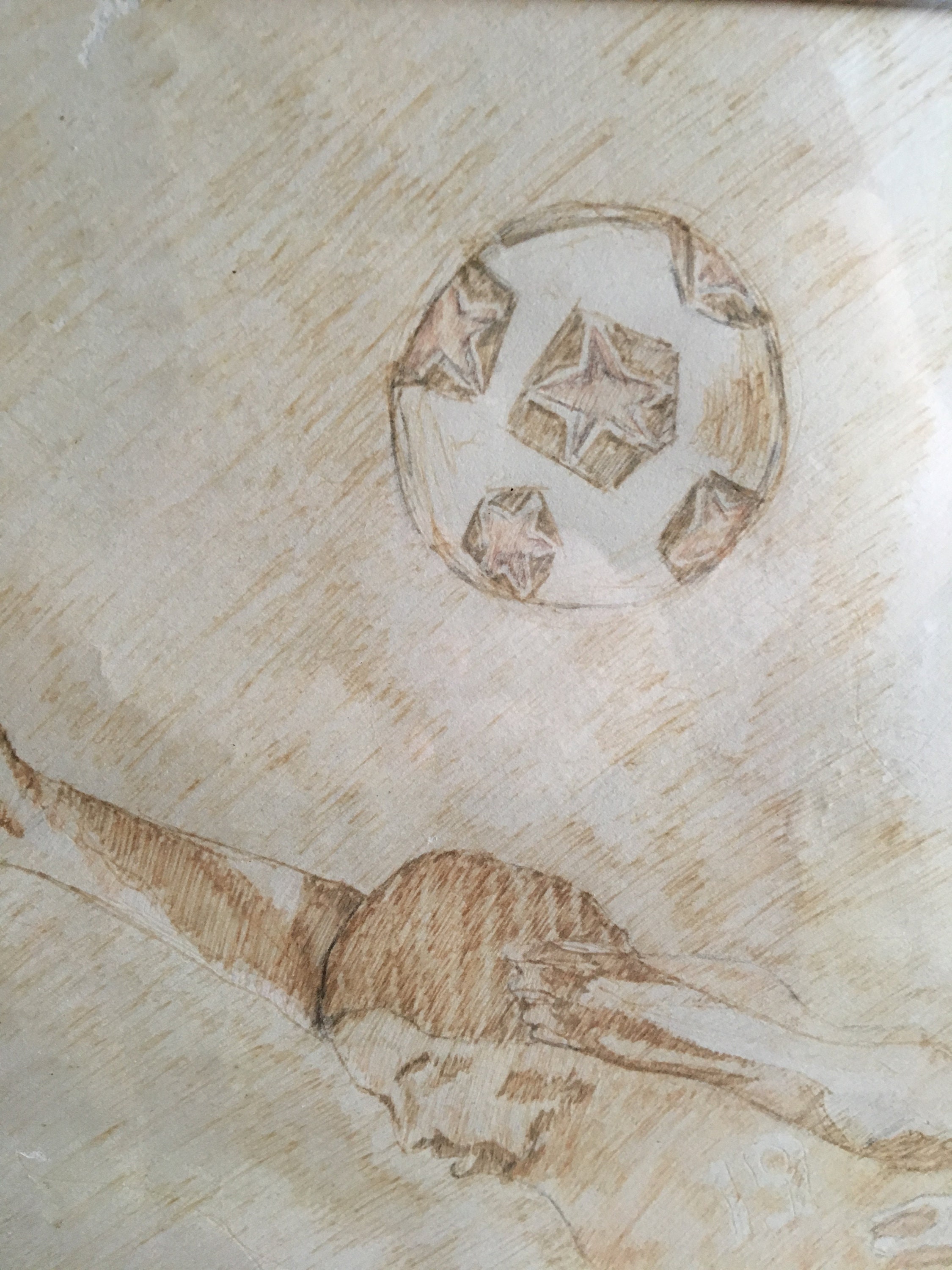 Vintage Original Pencil Sketch of Famous 1975 Season of the Tampa Bay ...