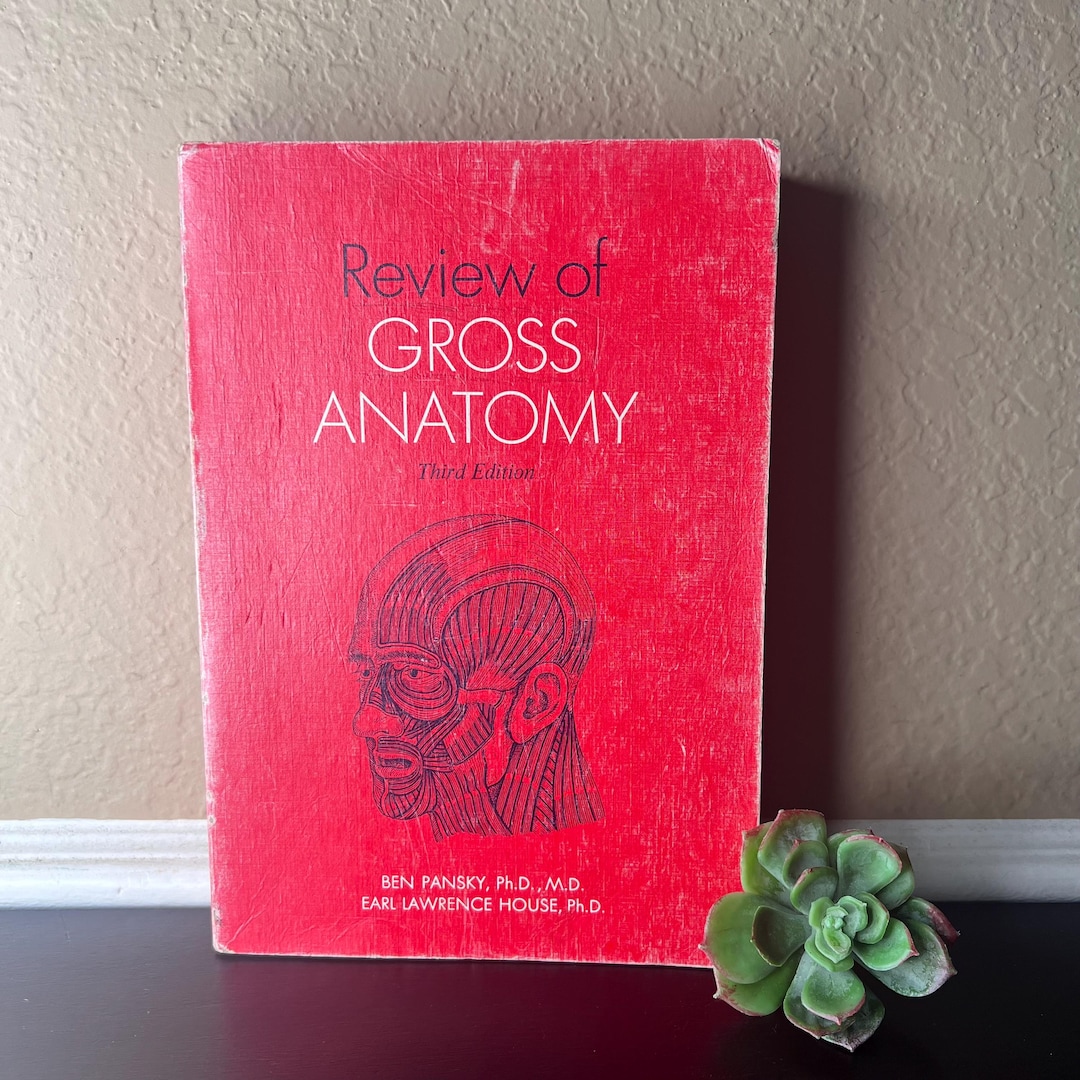Vintage Anatomy Book 1975 | Review of Gross Anatomy | Bold Red Medical ...