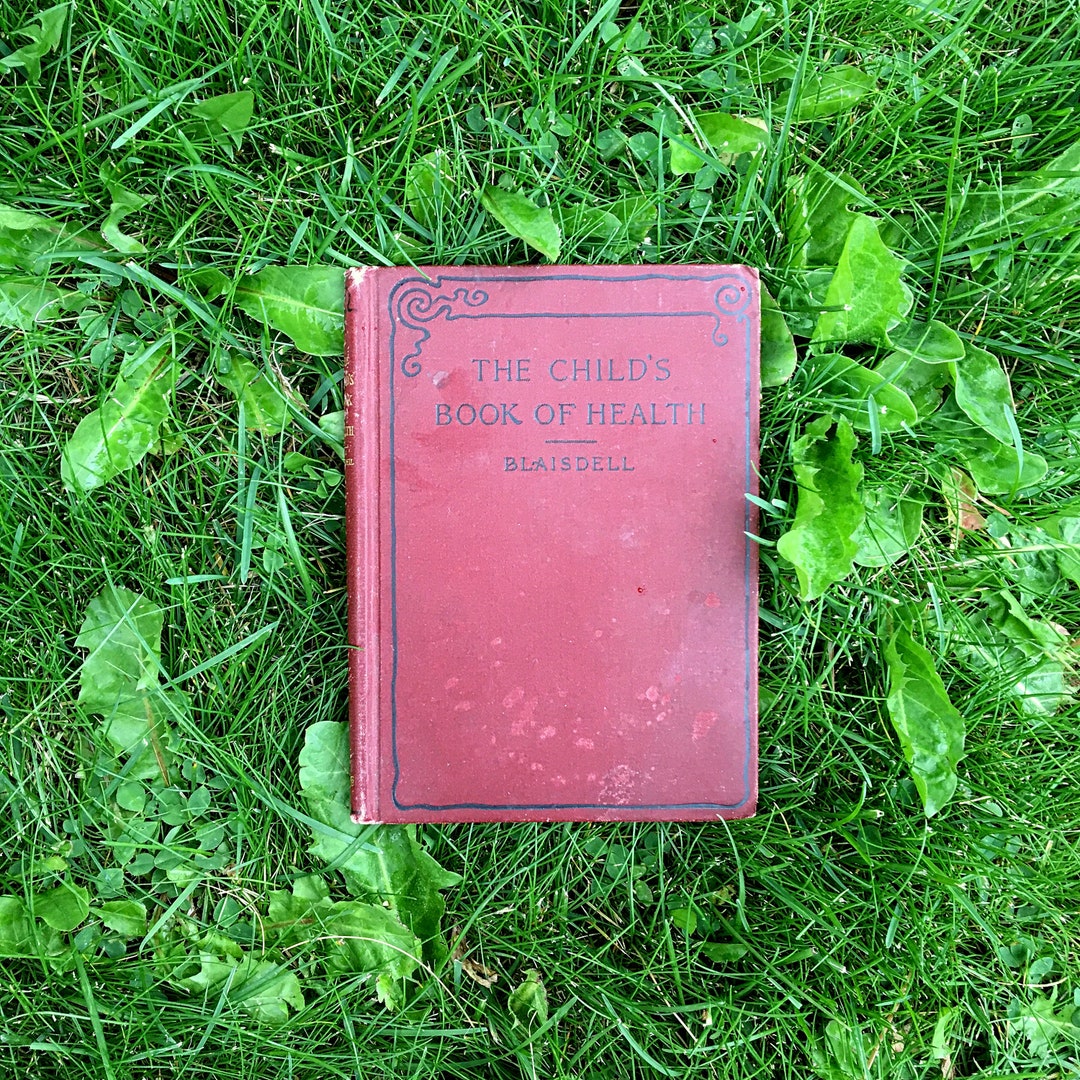 Antique 1897 ‘the Child’s Book of Health’ by Blaisdell/ Antique Books ...
