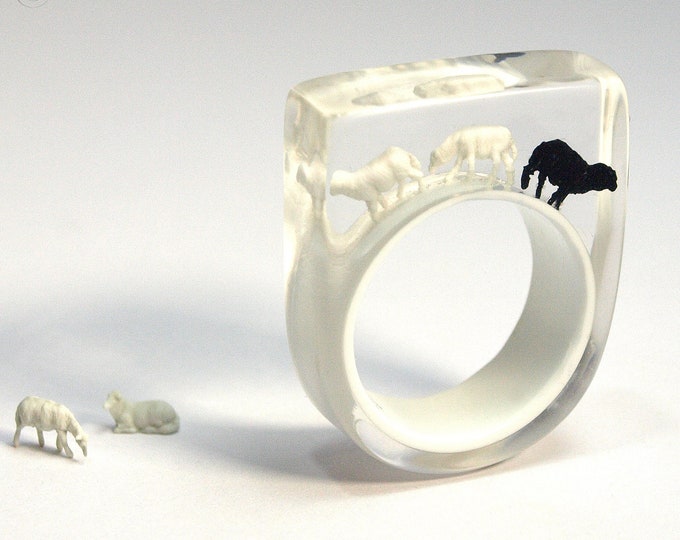 Sheep Ring Black Sheep With a Black and Two White Mini-sheeps on a ...