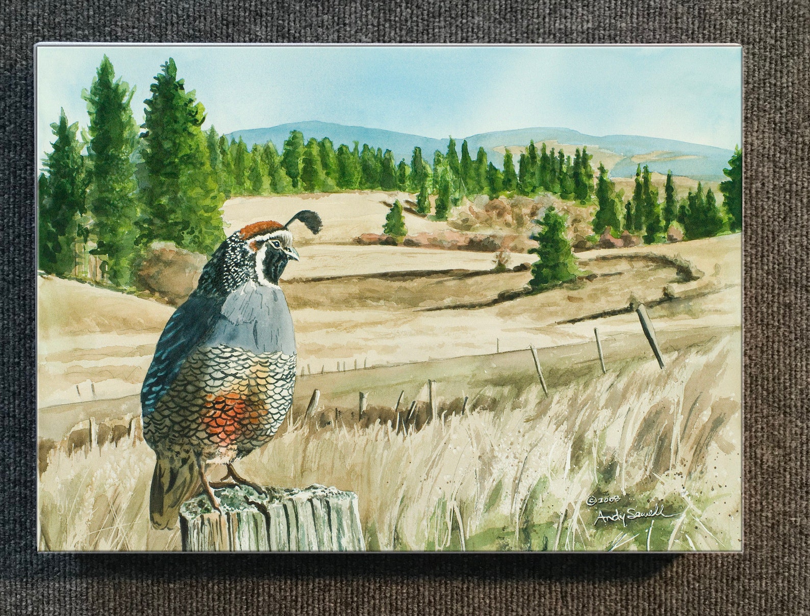 California Quail Art Print: Signed Watercolor Giclée Reproduction - Etsy