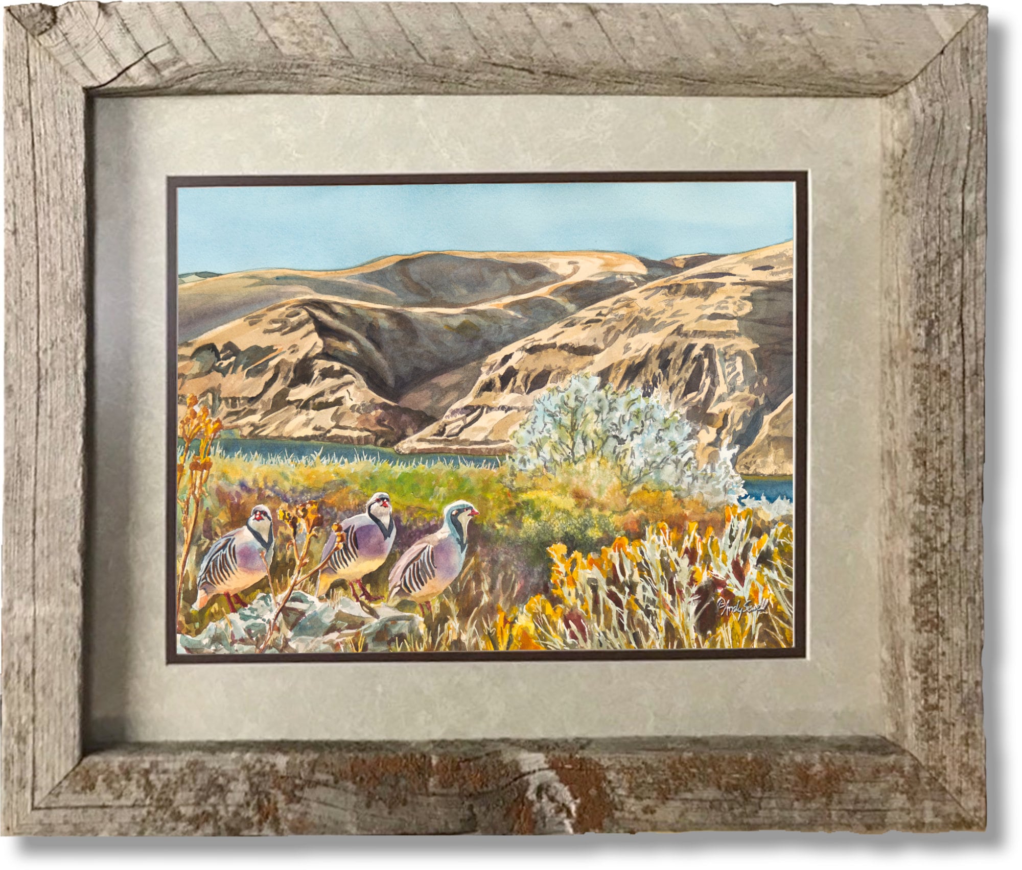 Chukar ART PRINT an open ed. giclee reprod of Chukars, game bird wall ...