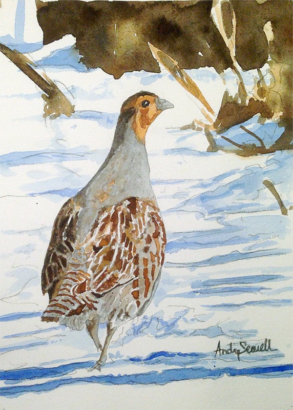 Winter Hun - Hungarian Partridge Archival Watercolor Print S/N Ltd. Ed ...