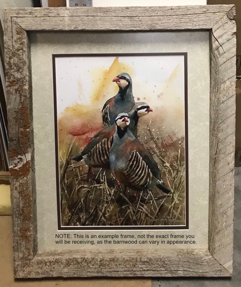 Chukar Art Print: Limited Edition Watercolor Bird Giclee - Etsy