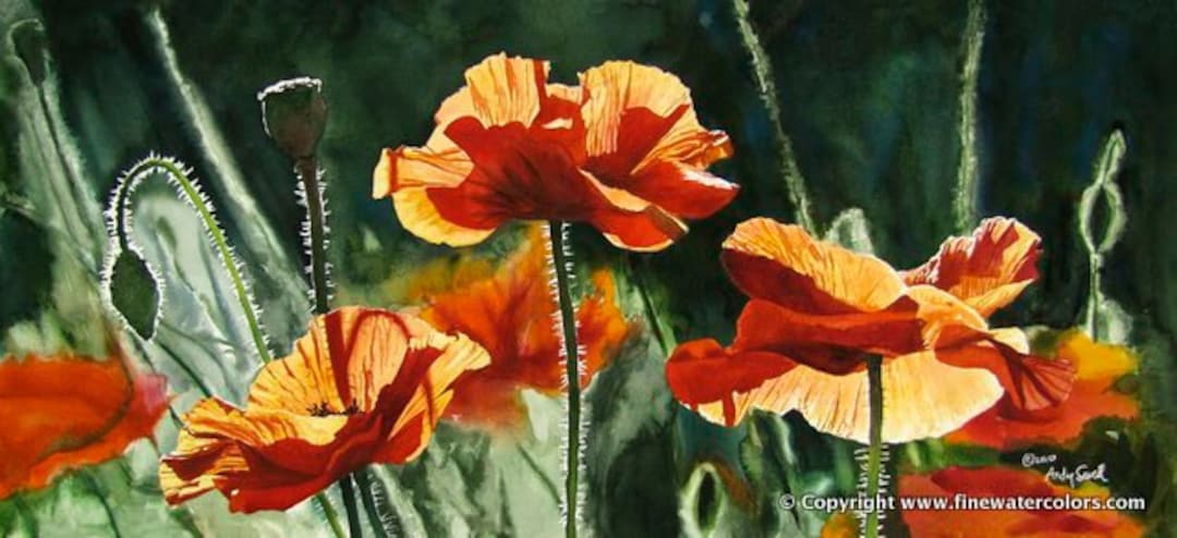 Red Poppy Art Print - a Limited Edition S/n Giclee Art Print From an ...