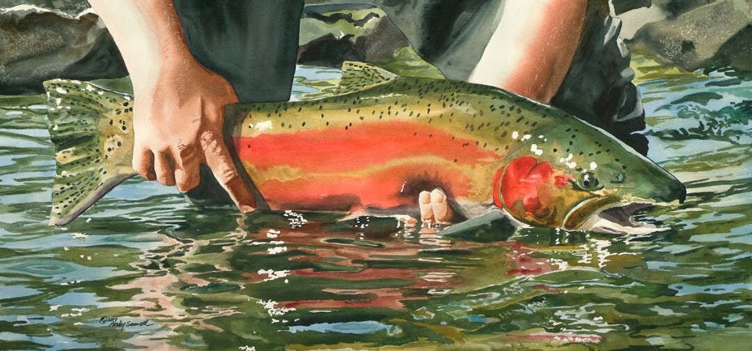 Colors of the River (steelhead) - a Ltd. Edition S/n Giclee Art Print ...