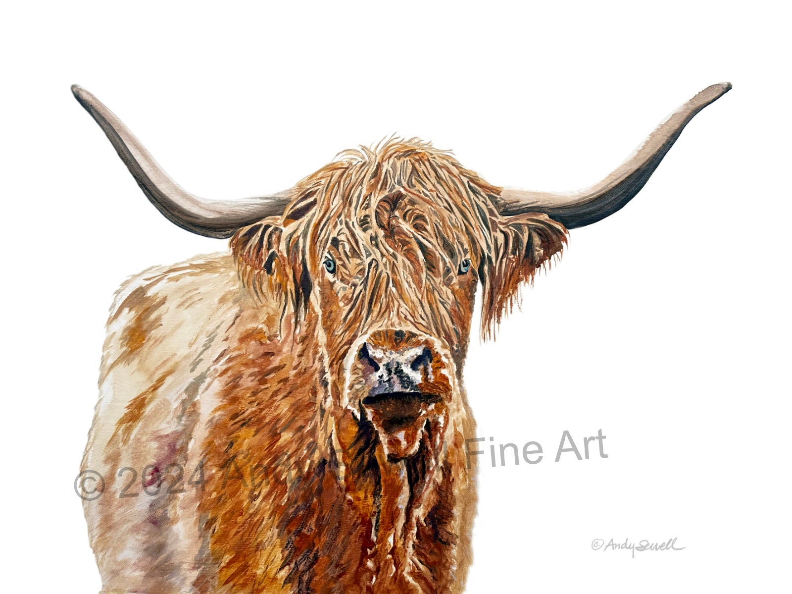 Scottish Highlander Art Print, Cow Wall Art, Highlander Wall Art, Hairy ...