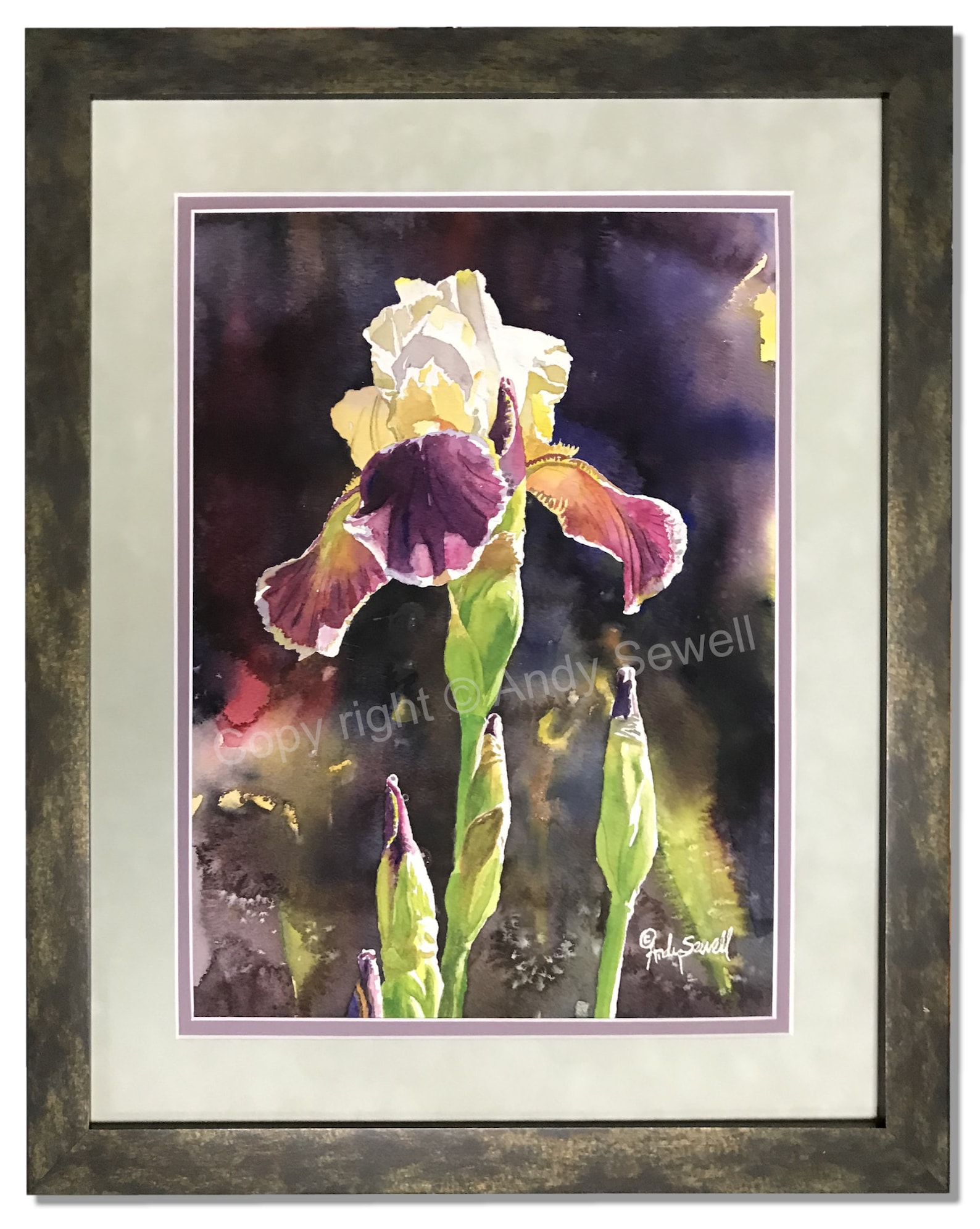 Iris Light Art Print a Limited Edition S/n Giclee Art Print - Etsy