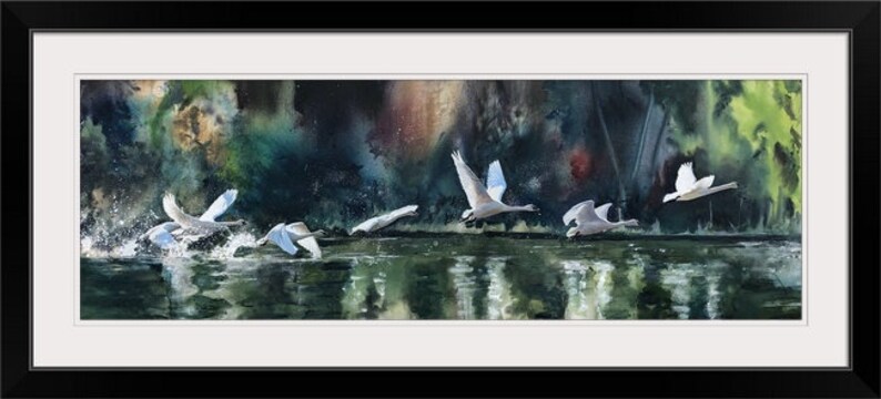 A "seven Swans Were Swimming" - Signed Edition Giclee Art Print From ...
