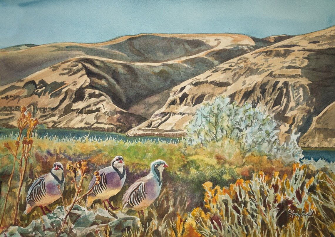Chukar Bird Art Print, Wildlife Watercolor Painting - Etsy