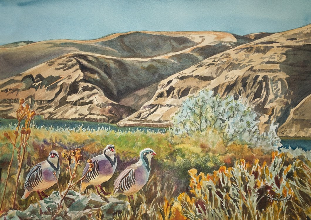Chukars, Wildlife paintings, Birds, ART PRINT Open Ed. Giclee ...
