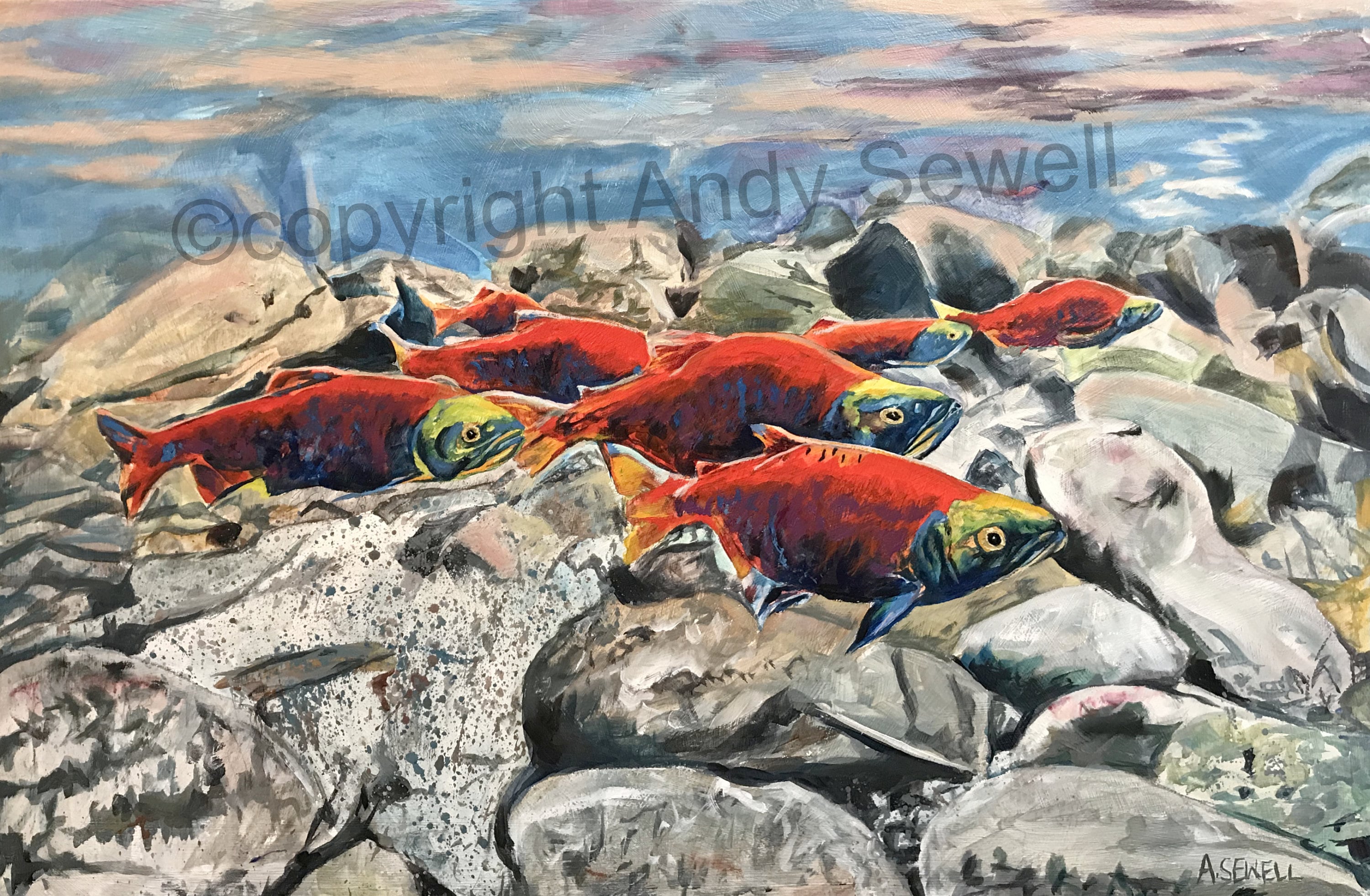 Salmon Swimming Upstream Watercolor