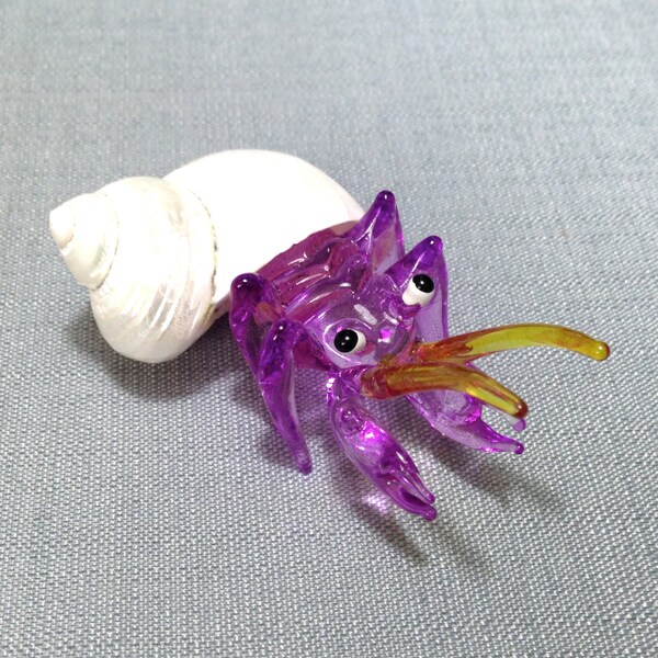 Hermit Crab Shells Glass - Etsy